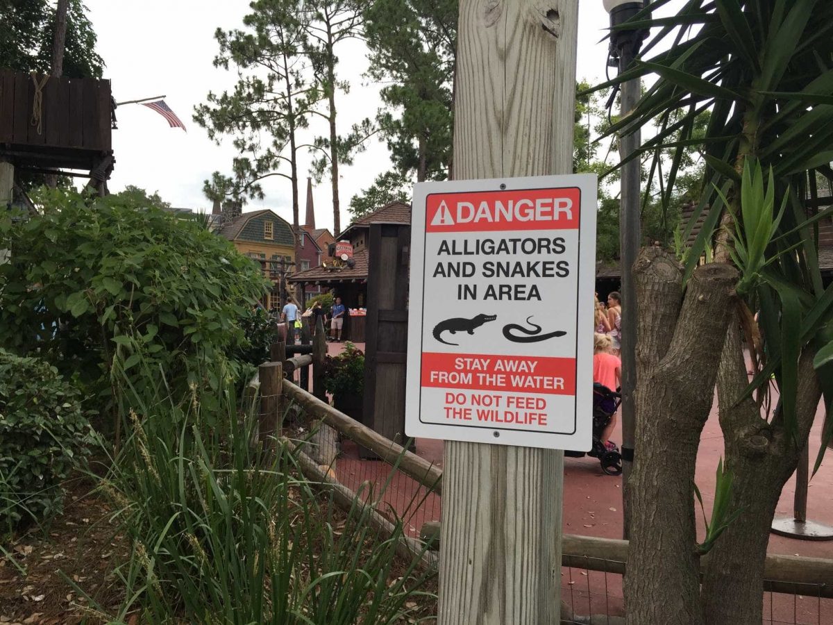 PHOTOS: Magic Kingdom Adds Alligator Warning Signs Inside Theme Park ... PHOTOS: Magic Kingdom Adds Alligator Warning Signs Inside Theme Park ...